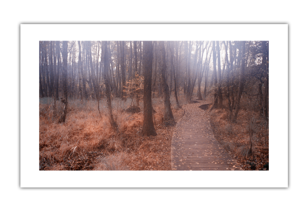 Gabriel is in the Sky – Max Stolzenberg Photography